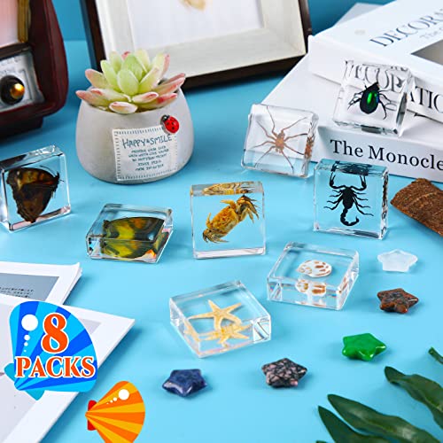 8 Pcs Insects in Resin Specimen Bug Collection Paperweights Bug Toys Preserved in Resin Specimen Bug Kit Specimen Sea Life Insect Toys Real Bug Specimen Bug Scientific Educational Toy, 8 Styles