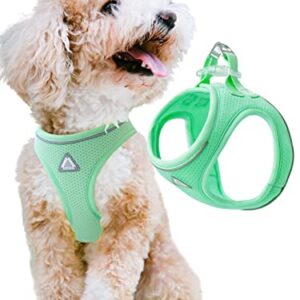 JC HOUSE Small Dog Harness, No Pull Lightweight Step-in Dog Vest, No Choke Escape Proof Reflective Soft Air Mesh Harness for Puppies & Cats Walking, Running Training and Daily Use, Green, S (M3S)