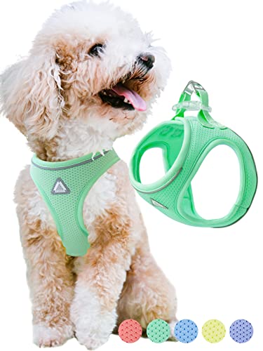 JC HOUSE Small Dog Harness, No Pull Lightweight Step-in Dog Vest, No Choke Escape Proof Reflective Soft Air Mesh Harness for Puppies & Cats Walking, Running Training and Daily Use, Green, S (M3S)