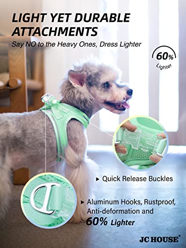 JC HOUSE Small Dog Harness, No Pull Lightweight Step-in Dog Vest, No Choke Escape Proof Reflective Soft Air Mesh Harness for Puppies & Cats Walking, Running Training and Daily Use, Green, S (M3S)