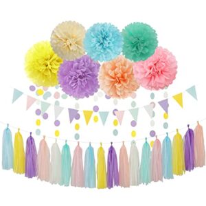 pastel rainbow party-decorations supplies streamers-garland - 29pcs baby shower birthday wedding tissue pom poms,tassel banner backdrop decor bunting lasting surprise