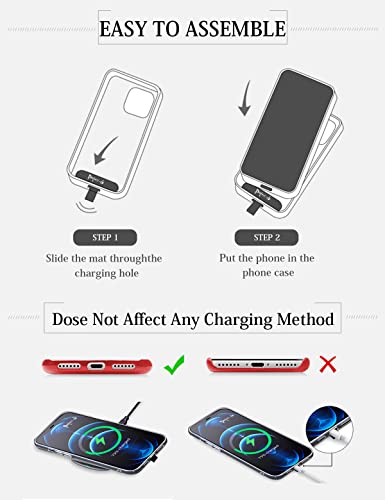 project-cb Phone Tether Tab 2 Pack,Universal Phone Lanyard Patch Without Adhesive,Phone Strap Replacement Part for Cell Phone (Black&Clear)