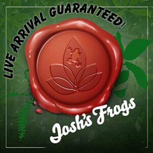 Josh's Frogs Tarantula Vivarium Bioactive Plant Kit (3x3x6 Terrarium)