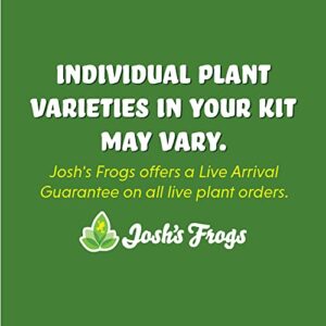 Josh's Frogs Tarantula Vivarium Bioactive Plant Kit (3x3x6 Terrarium)