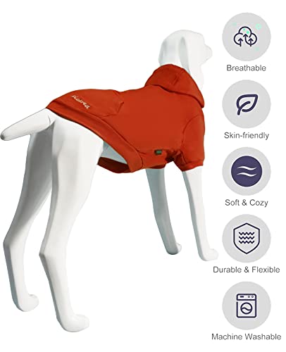 Kickred 2 Pieces Basic Cotton Dog Hoodie Sweater, Soft Pet Clothes Dog Sweatshirts, Dog Outfit Coat Pullover with Pocket and Leash Hole for Small Medium Large Dogs, L