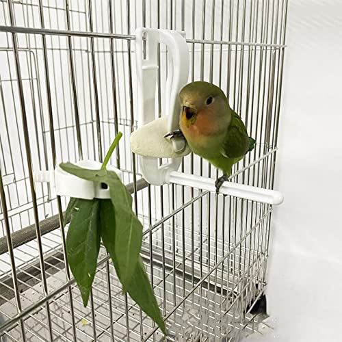 Gigicloud 10pcs Birds Food Holders, Multi-Function Parrot Vegetable Clips Bird Cage Feeder Clip Reusable Birds Fruit Fork Food Racks Plastic Bird Feeder Clamps for Pet Parrot Canaries Rabbits