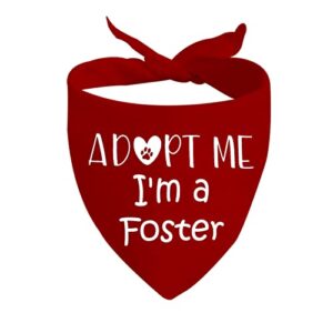 jxgzso 1 piece adopt me i'm a foster dog bandana adopted dog bandana baby dog announcement dog bandana (i'm a foster d)