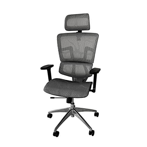 ErgoMax Ergonomic Adjustable, Breathable Mesh Fabric, Home Office Chair, 53 in. Max Height, Gray