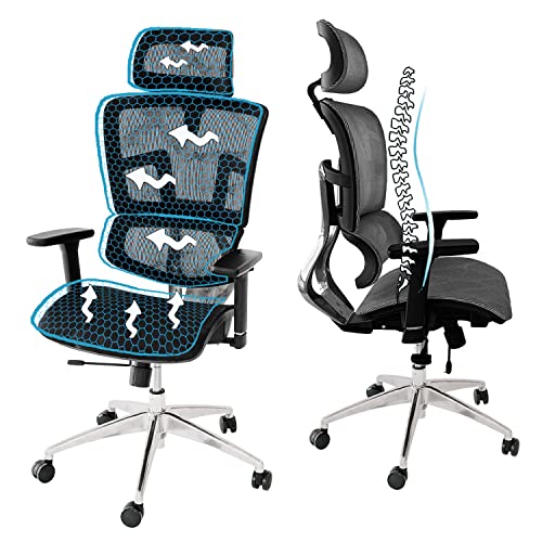 ErgoMax Ergonomic Adjustable, Breathable Mesh Fabric, Home Office Chair, 53 in. Max Height, Gray