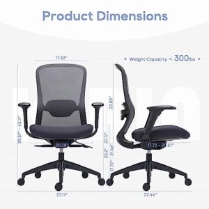 Mesh Office Chair, Ergonomic Chair with Adjustable Lumbar Support, Executive Computer Chair with 4D Armrests, Tilt Lock and Slide Seat, Home Office Desk Chair for Men Women-InkGrey, 2 PC