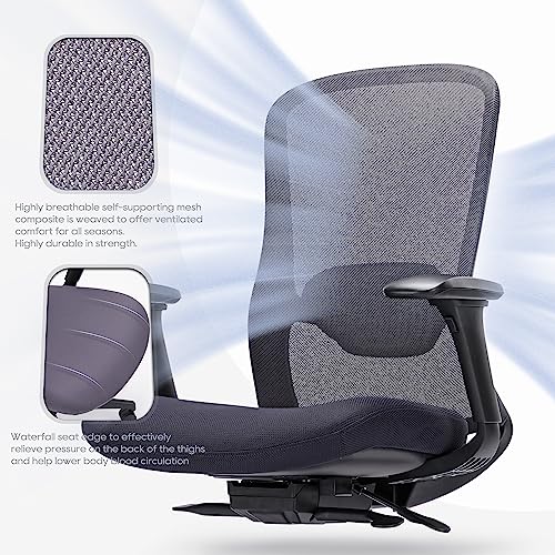 Mesh Office Chair, Ergonomic Chair with Adjustable Lumbar Support, Executive Computer Chair with 4D Armrests, Tilt Lock and Slide Seat, Home Office Desk Chair for Men Women-InkGrey, 2 PC