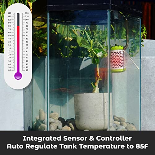 Smart Reptile Heater with Auto Temperature Control, Installation Kit and Anti-Biting Line, Design for Chameleon, Snakes, Lizards, Chicks, Amphibian and Turtle (50W_Small)