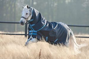 horseware ireland amigo bravo 12 plus pony turnout blanket (250g medium, 150g hood), size: 63, color: navy (turquoise/aqua trim)