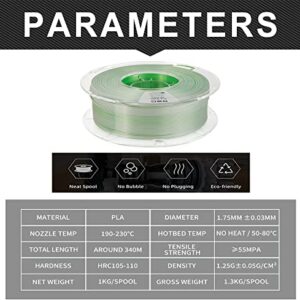 R3D PLA Filament 1.75mm, 3D Printer Filament (Dual-Color Silk Spring)