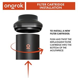 ONGROK Personal Air Filter w/Replaceable Filter Cartridges 2.0, Starter Set, Paper Based Filters, (Sploof) for Indoors, 500+ Exhales