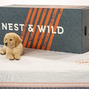 Nest & Wild Mattress Plush 12 Inch | Made in The USA | 100% Fiberglass-Free Cool Touch Cover | Ventilated Memory Foam | Bed in a Box | CertiPUR-US & OEKO-TEX100 Certified Foams (Twin XL)