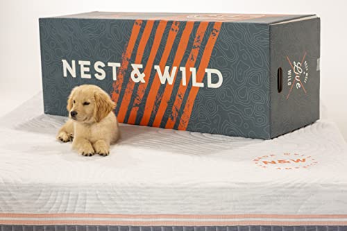 Nest & Wild Mattress Plush 12 Inch | Made in The USA | 100% Fiberglass-Free Cool Touch Cover | Ventilated Memory Foam | Bed in a Box | CertiPUR-US & OEKO-TEX100 Certified Foams (Twin XL)