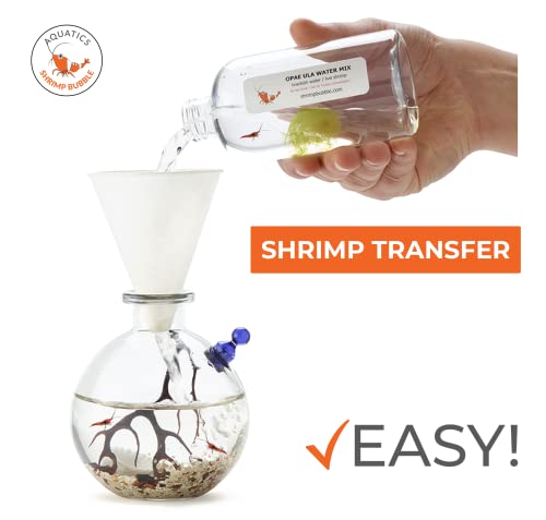 Shrimp Bubble Self-Sustaining Ecosystem - Natural. Contains Live Opae Ula Shrimp