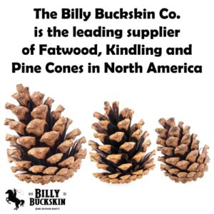 20 PineCones 3" to 4" Tall, Bulk Package in a Protective Box, Bug Free, All Natural, UNSCENTED, Perfect for Crafts, Christmas Trees, Firelighting, by Billy Buckskin Co.