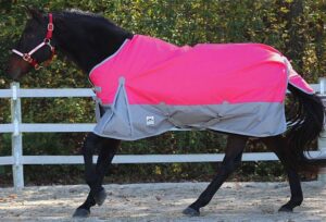 rugged ride 1200 denier midweight waterproof turnout blanket - 200 gram fill - mini/pony