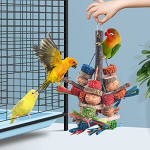 Bissap Bird Chew Toys, Natural Bark Corncob Nuts Parrot Toys and Treats for Conure Cockatoo Parakeet Budgies Cockatiel Lovebirds Pets Cage Bite Toy