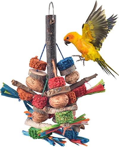 Bissap Bird Chew Toys, Natural Bark Corncob Nuts Parrot Toys and Treats for Conure Cockatoo Parakeet Budgies Cockatiel Lovebirds Pets Cage Bite Toy