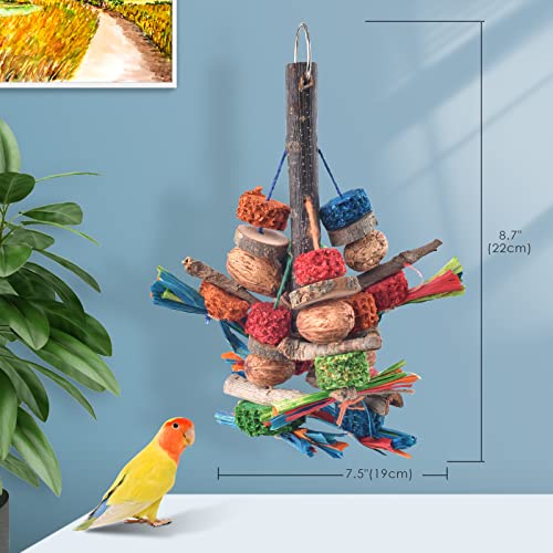 Bissap Bird Chew Toys, Natural Bark Corncob Nuts Parrot Toys and Treats for Conure Cockatoo Parakeet Budgies Cockatiel Lovebirds Pets Cage Bite Toy