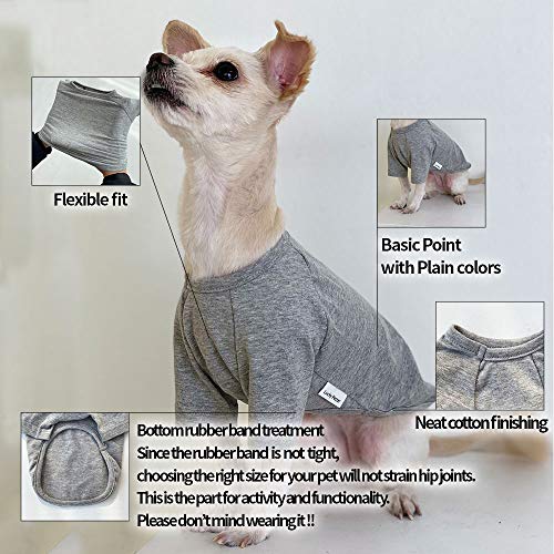 Lucky Petter Dog Shirt for Small Dogs Plain T-Shirts Soft Breathable Dog Cotton Shirt pet Clothes (Medium, Mint)