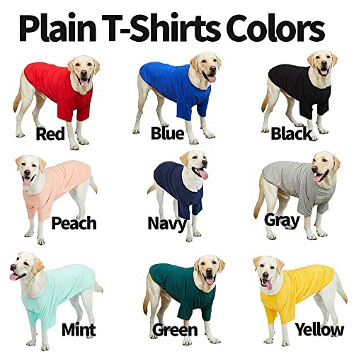 Lucky Petter Dog Shirt for Small Dogs Plain T-Shirts Soft Breathable Dog Cotton Shirt pet Clothes (Medium, Mint)