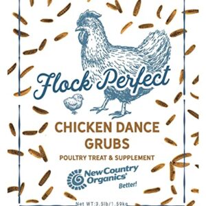 New Country Organics | Flock Perfect Chicken Dance Grubs for Chickens | 3.5 lbs