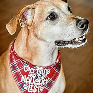 4 Pack Christmas Dog Bandanas, Classic Plaid Dog Scarf Bib, Premium Cotton Fabric, Holiday Bandanas for Small and Medium Dogs Pets