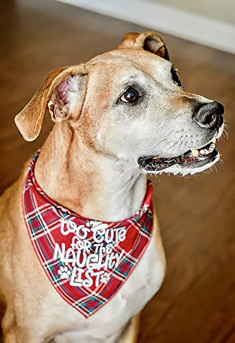 4 Pack Christmas Dog Bandanas, Classic Plaid Dog Scarf Bib, Premium Cotton Fabric, Holiday Bandanas for Small and Medium Dogs Pets