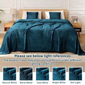 FY FIBER HOUSE Fleece Throw Blanket for Couch 300GSM Super Soft Plush Fuzzy Blankets Lap Blanket for Office Sofa, 50x60 Inches, Storm Blue