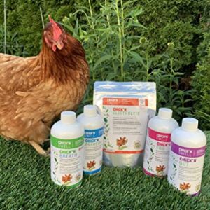 Chick'N Electrolyte for poultry