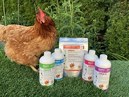 Chick'N Electrolyte for poultry