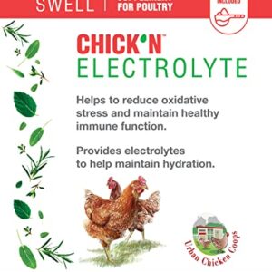 Chick'N Electrolyte for poultry