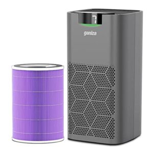 air purifiers for home large room with an extra toxin absorber filter, ganiza 1570ft² 23db less noise air purifiers remove 99.97% of formaldehyde, toxins, wildfire smoke