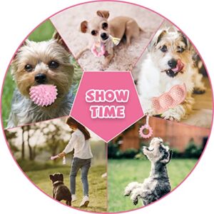 ABRRLO Puppy Toys 6 Pack Puppy Chew Toys for Teething Small Breed Dog Toys for Small Puppies Cute Pink Small Dog Chew Toys Soft Rubber Durable Puppy Teething Toys Interactive Pet Dog Toys Set