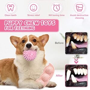 ABRRLO Puppy Toys 6 Pack Puppy Chew Toys for Teething Small Breed Dog Toys for Small Puppies Cute Pink Small Dog Chew Toys Soft Rubber Durable Puppy Teething Toys Interactive Pet Dog Toys Set