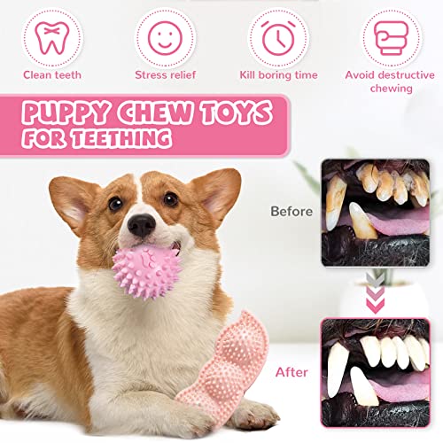 ABRRLO Puppy Toys 6 Pack Puppy Chew Toys for Teething Small Breed Dog Toys for Small Puppies Cute Pink Small Dog Chew Toys Soft Rubber Durable Puppy Teething Toys Interactive Pet Dog Toys Set