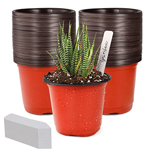 TDHDIKE 4" Small Plastic Plant Nursery Pot/Pots (100pcs) Seedlings Flower Plant Container (Red) Seed Starting Pots Indoor Outdoor, Come with 100pcs Plant Labels