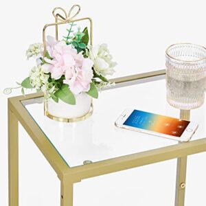 HOMSHO Side Tables Set of 2, End Tables with Tempered Glass, 2-Tier Nightstands with Storage Shelves, Slim Sofa Table for Living Room, Bedroom (2, Golden)