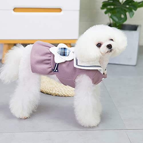 Girl Puppy Outfits Small Pet Clothes Dog Clothes Fall and Winter Clothes New Teddy Small Dog Pet Clothes Winte Back Teddy Sweater