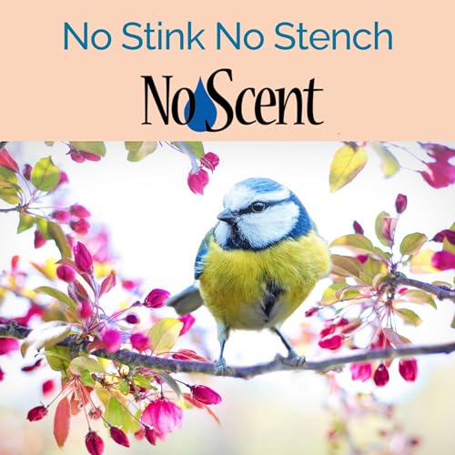 No Scent Bird Cage Cleaner Spray & Pet Odor Management, Natural Aviary Freshener (2 Fl Oz / 59 mL)