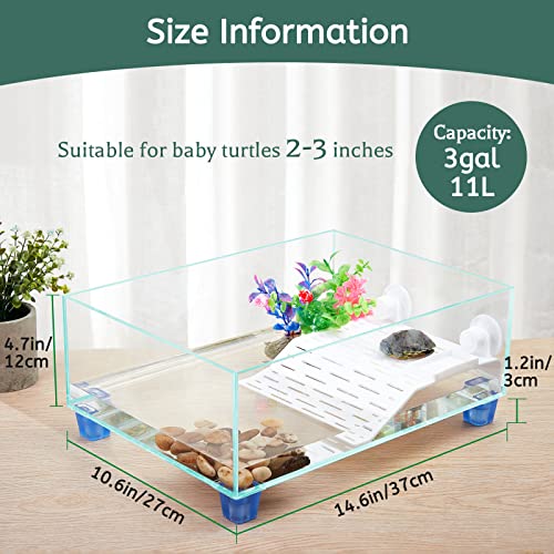 LAQUAL Ultra Clear Glass Turtle Tank (3 Gal), 360° View Rimless Glass Tank for Baby Turtles 2-3 Inches, Small Turtle Aquarium with Turtle Basking Platform, Easy to Clean & Change Water