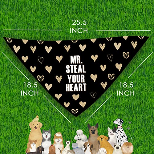 Earus Dog Bandanas for Valentines Day Gifts, Dog Valentines Scarf 2 Packs, Pets lentines Day Plaid Décor for Medium Large Dogs