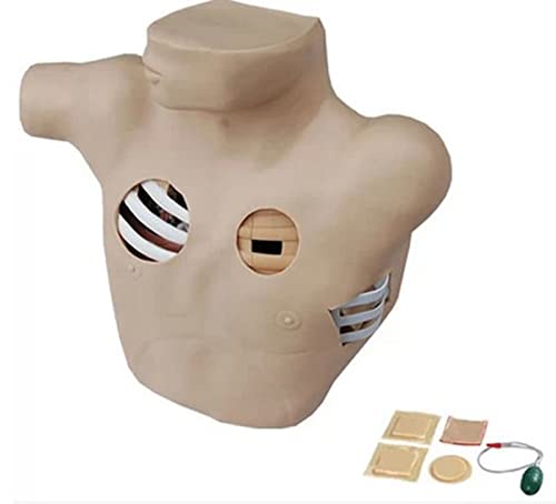 SHENGANG Model Medical Teaching of Thoracic Puncture and Drainage,Pneumothorax Fluid Closed Thoracic Treatment Model,Anatomical Drilling Training Model