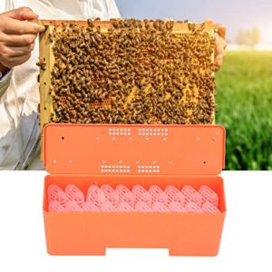 CHICIRIS Bee Cage Easy Carry Plastic Safe Transport King Cage Transport Box for Bee Farm