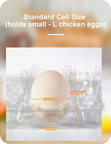 Pintuson Egg Cartons Cheap Bulk 60 Pack - Holds 1 Dozen Clear Blank Egg Cartons for Chicken Eggs - Medium Plastic Egg Carton for Home Ranch Chicken Farm, Commercial Market Display (3x4 Grids)