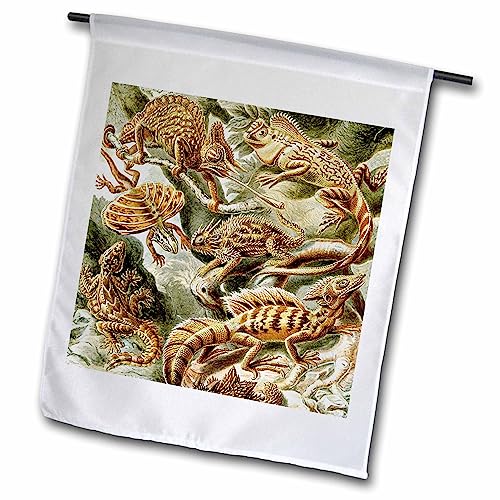 3dRose Lizards and Reptiles Art Print - Reptile Breeds and Species - Animals - Flags (fl-365423-1)